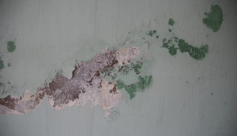 Do Humidifiers Really Damage Your Walls? (Causes + Tips)